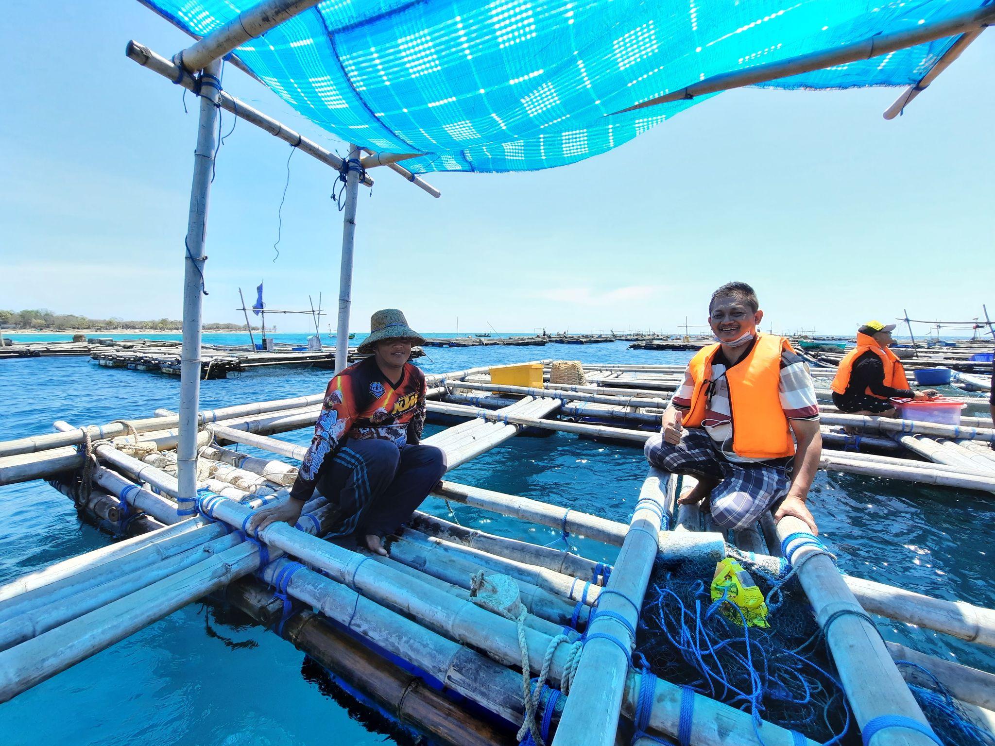 Tim DM Tingkatkan Keamanan Produksi Kerapu Lewat Tenaga Surya ... Tim DM Tingkatkan Keamanan Produksi Kerapu Lewat Tenaga Surya ...